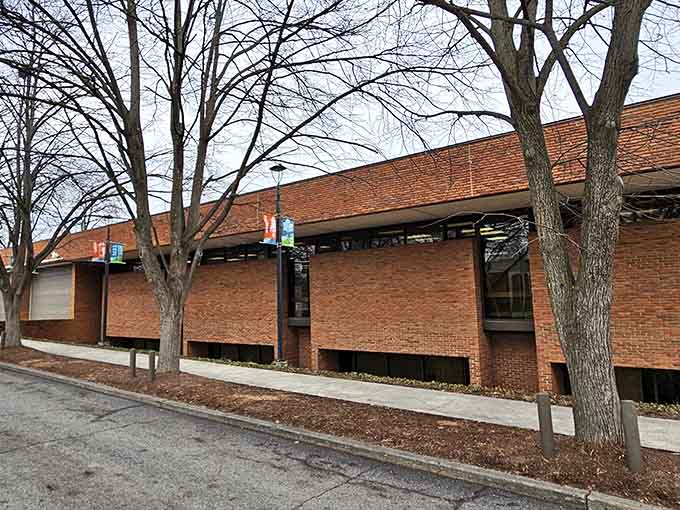 The Morrisson-Reeves Library offers that perfect mid-century modern aesthetic where form meets function without unnecessary flourishes.