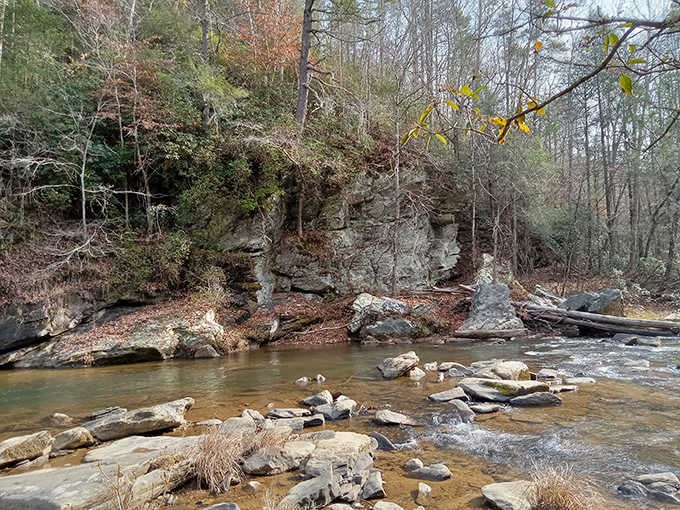 The rocky streambed and bluffs showcase the geological artistry that took millennia to create, all for your viewing pleasure today.