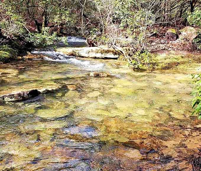 This creek's been babbling the same stories for centuries, and honestly, they never get old.