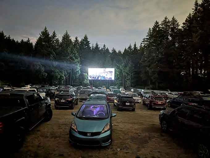 As darkness falls and the feature begins, hundreds of stories unfold both onscreen and off.