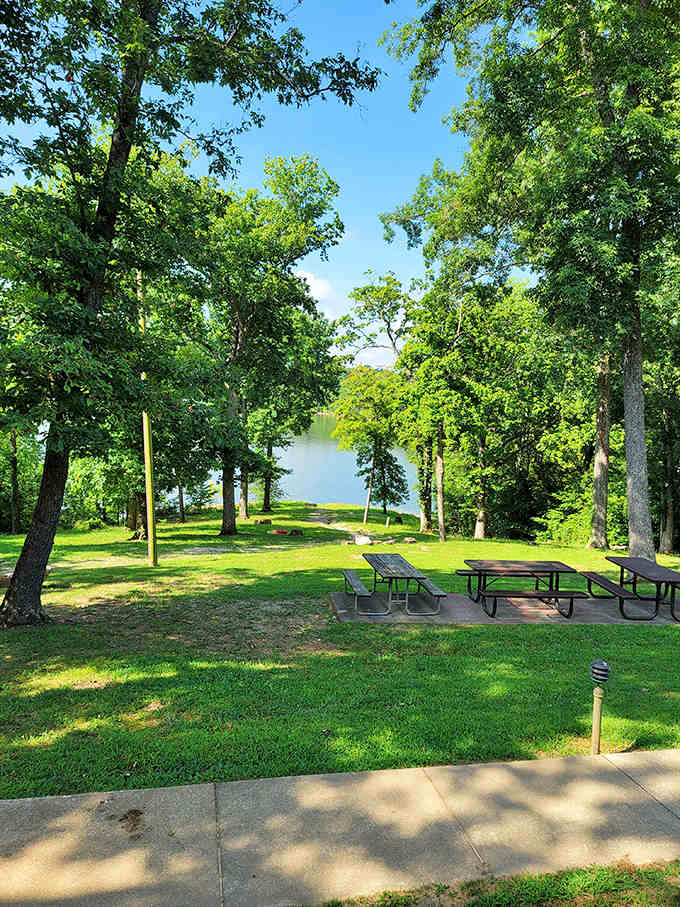 Picnic tables under towering trees with lake views beyond, the perfect setup for family reunions and lazy afternoons.