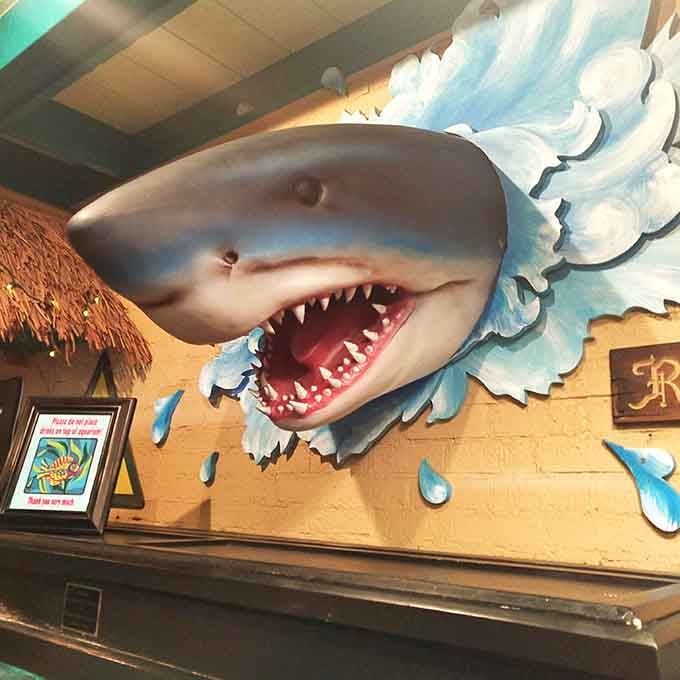 A shark bursting through the wall adds whimsy and reminds you this place doesn't take itself too seriously.