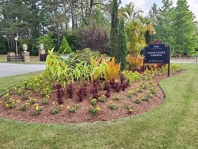 Welcome to your new favorite escape, where admission is free and stress isn't invited inside.