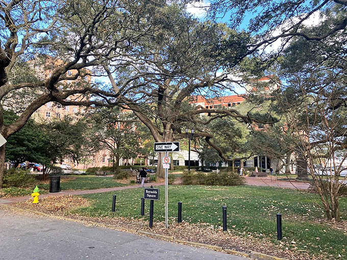 Reynolds Square offers green space and historic monuments where locals and visitors share benches under ancient tree canopies.