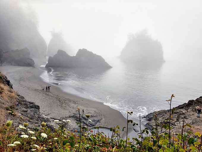 Fog rolling through the cove transforms Secret Beach into something mysterious and wonderfully atmospheric.