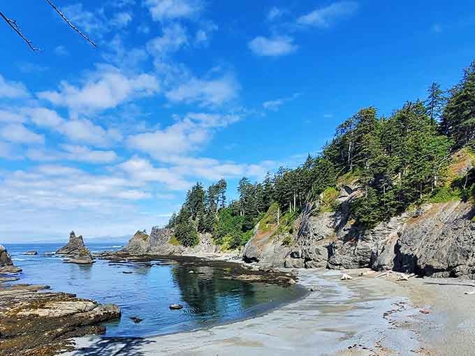 Forested cliffs tower above the beach, reminding you that Washington's coastline doesn't do anything halfway or subtle.