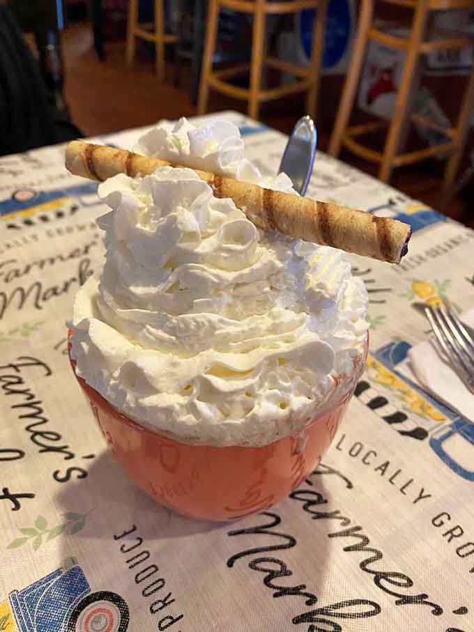 Whipped cream piled this high on hot chocolate isn't excessive, it's exactly what childhood dreams promised.