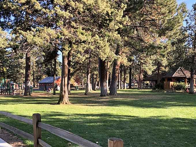 Village Green City Park: where those towering pines have been providing shade since before air conditioning was invented.