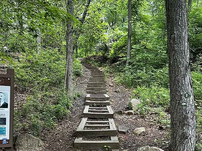 Wooden steps lead upward through forests where every season writes its own beautiful hiking story.