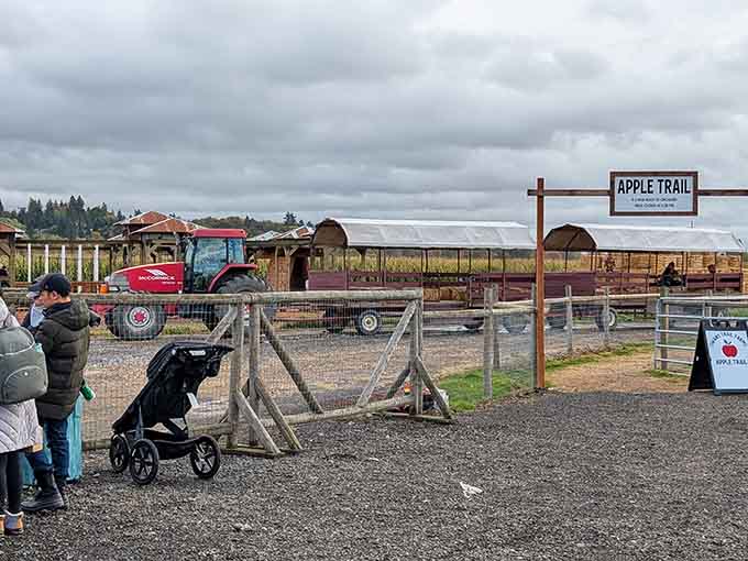 Seasonal attractions like farm trails remind you that this town celebrates traditions that never go out of style.