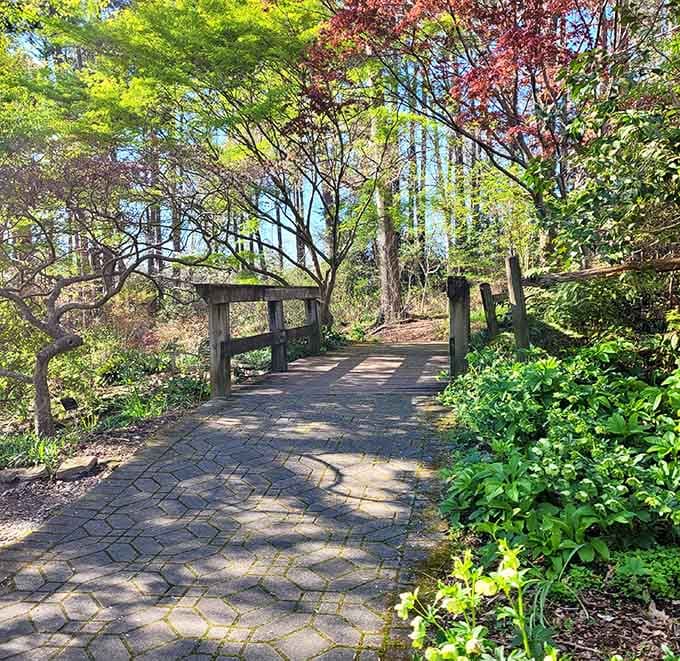 Winding pathways invite leisurely strolls through gardens where getting lost is actually the whole point of the journey.