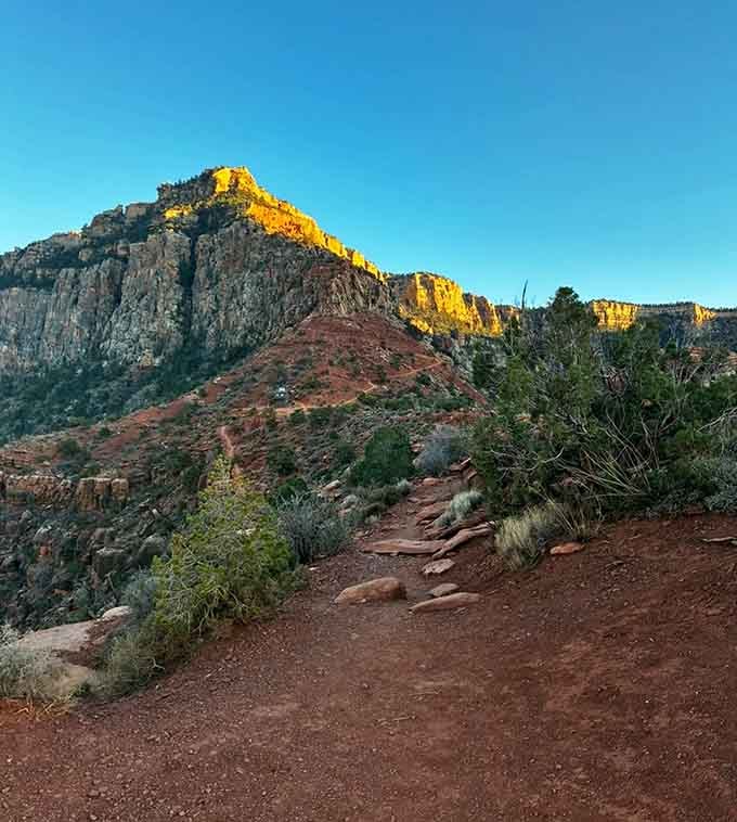 Morning light illuminates the trail ahead, beckoning hikers deeper into one of nature's most spectacular architectural achievements.