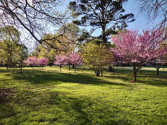 Spring in the Ozarks paints landscapes that would make professional photographers weep with joy and envy.