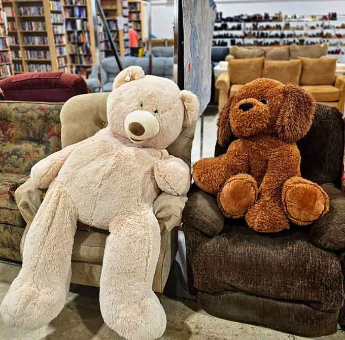 Giant teddy bears lounging on furniture like they're auditioning for a children's book &ndash; wholesome chaos at its finest, really.