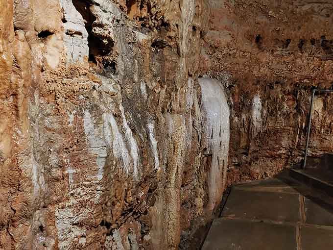 Cave walls displaying textures and patterns that interior designers spend fortunes trying to replicate.