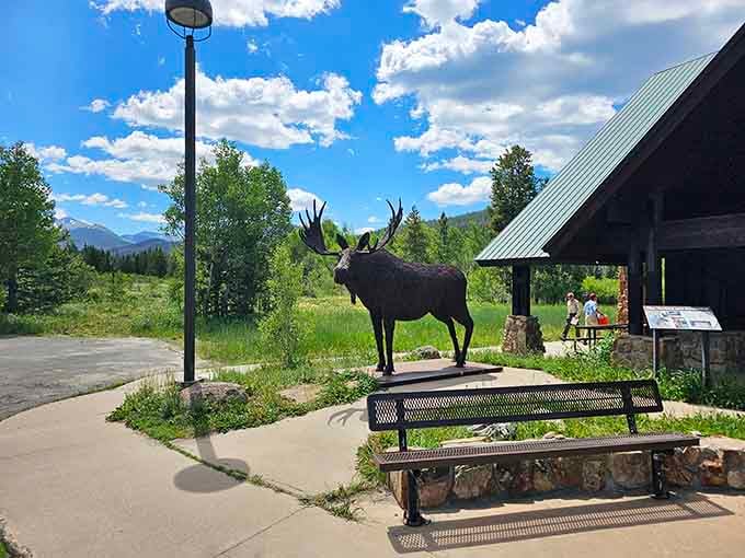 Even the visitor center moose knows this place is special enough to stick around and greet every guest.