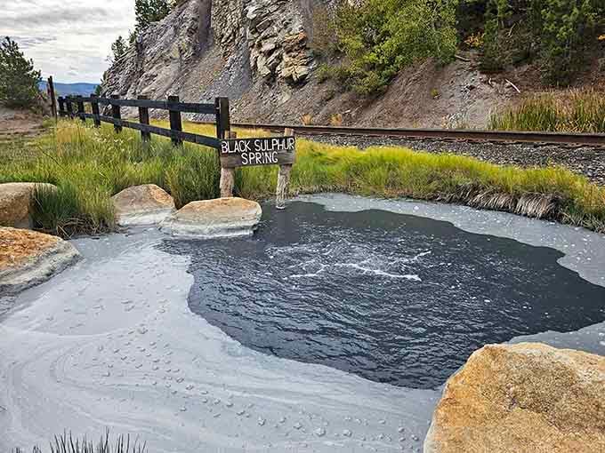 Black Sulphur Spring bubbles naturally, offering free geothermal therapy that beats any spa membership fee.