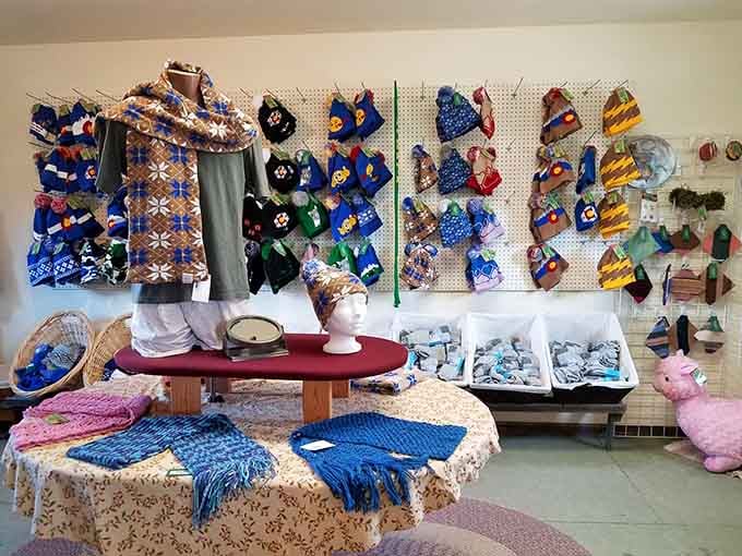 Inside the gift shop, colorful alpaca products line the walls like a rainbow made entirely of cozy warmth.