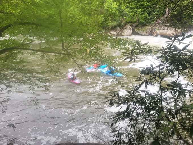Kayakers navigating the Youghiogheny's calmer sections before the whitewater adventure begins downstream.