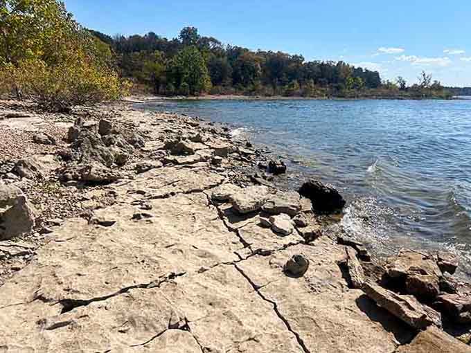Flat rocks jut into the water like natural diving platforms, worn smooth by decades of waves and weather.