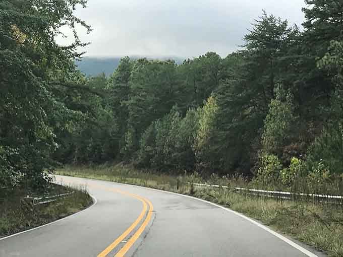 Even on cloudy days, this drive delivers views that make you forget about whatever weather app was predicting earlier.