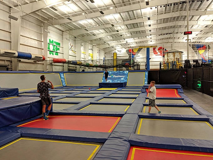 Grandparents can actually keep up here, bouncing alongside grandkids on forgiving surfaces that remember what fun feels like.