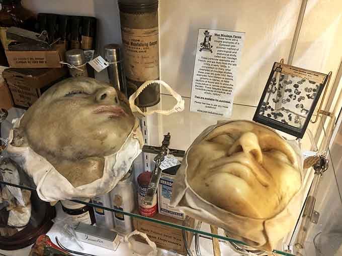 Wax anatomical faces that would make your high school biology teacher weep with joy over their educational perfection.