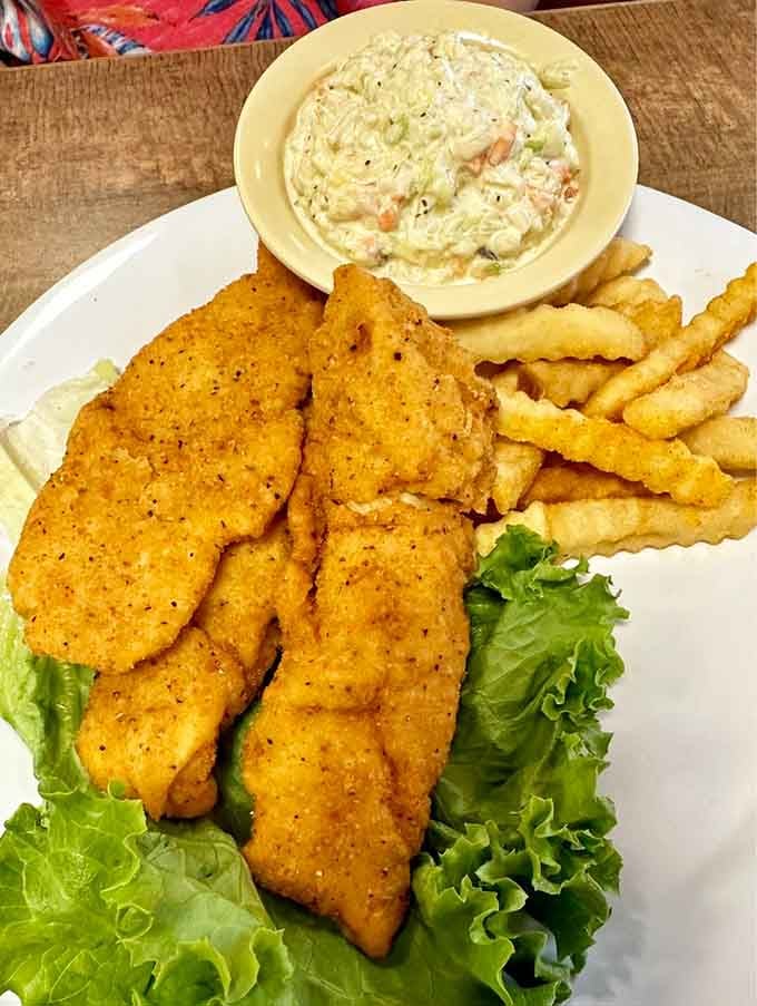 Breaded chicken tenders with creamy coleslaw and fries are proof that classics never go out of style.