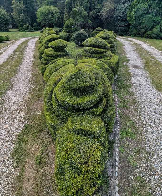 Each curve and contour tells a story of dedication that spans decades of careful, loving attention.