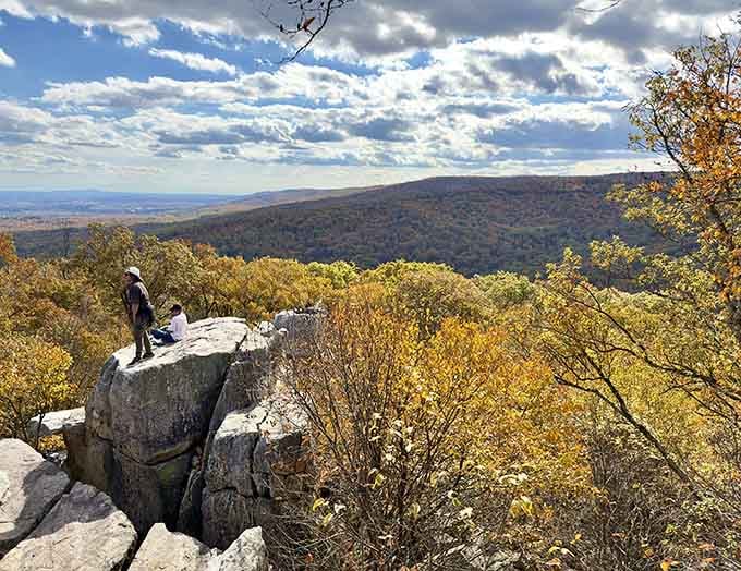 Catoctin Mountain Park's overlooks deliver views that make the hike worthwhile, even when your legs disagree.