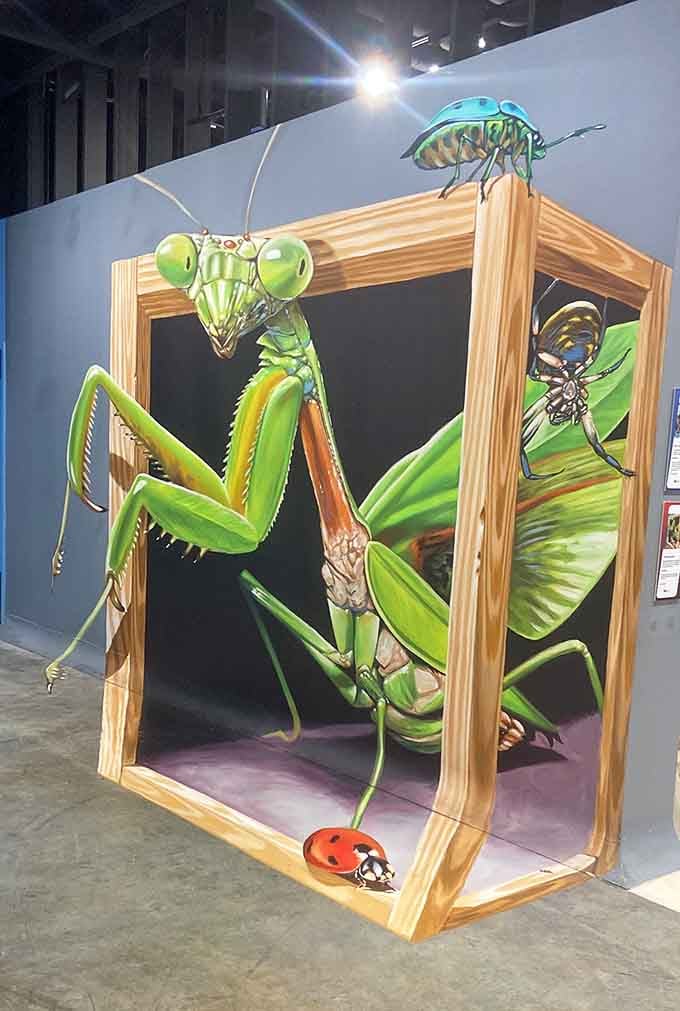 A praying mantis this size makes you reconsider every bug you've ever casually swatted away without thinking.