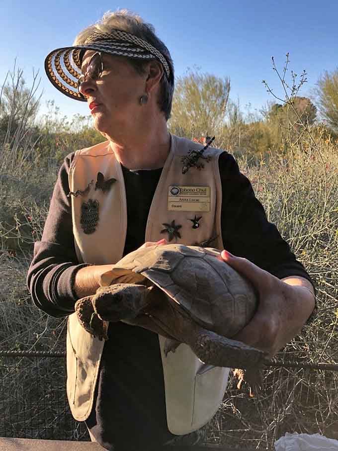 Passionate staff members share their expertise during educational programs, holding desert tortoises with obvious care and enthusiasm.