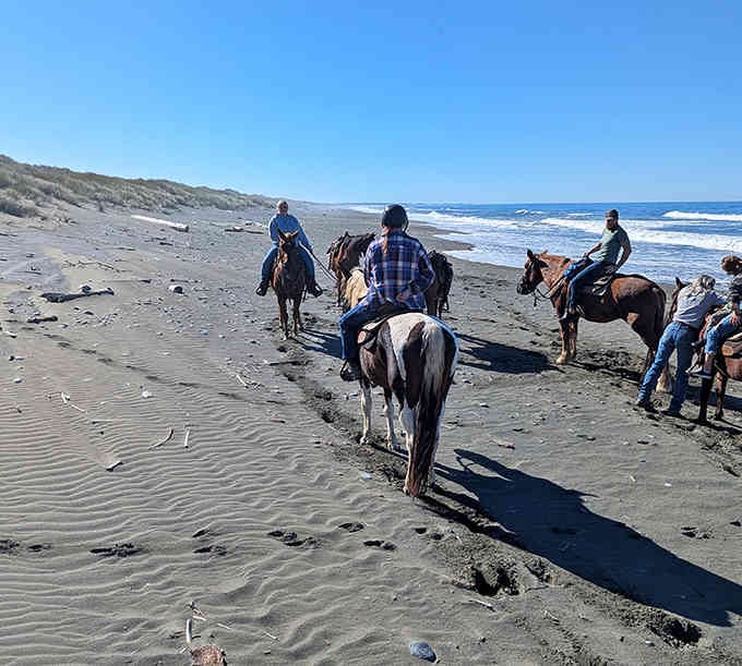 Horseback riders explore the endless beach, living out every coastal California dream you've ever had while watching old westerns.