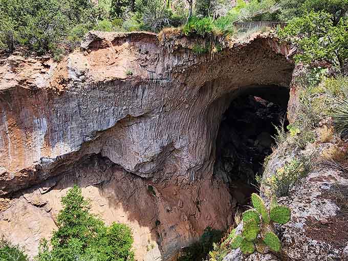 Vegetation crowns the natural tunnel like a green toupee, softening the dramatic stone archway with unexpected life.