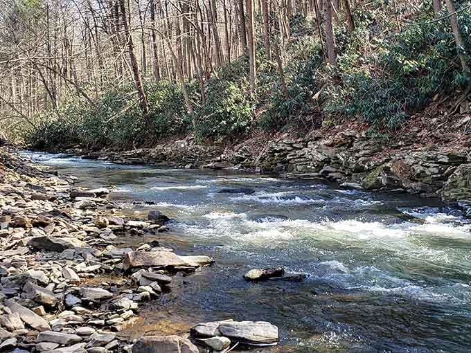 Trough Creek flows with the kind of determination that would make any motivational speaker take notes and feel inadequate.