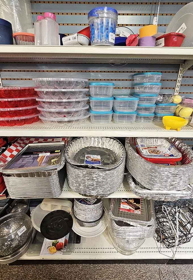 Food storage containers in every size, because leftovers deserve homes that don't cost more than dinner itself.