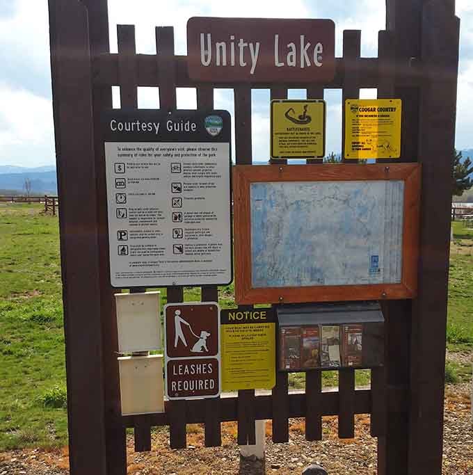 Everything you need to know is right here, proving that good information beats getting lost every single time.