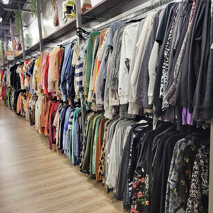 Women's apparel racks bursting with options, from cozy sweaters to floral prints that scream spring has sprung.