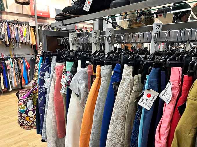 Shorts in every hue, ready for summer adventures that won't require eating ramen for a month.