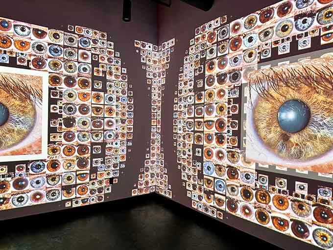 Hundreds of eyes watch without judgment, reminding you that perspective changes everything, especially when multiplied by mirrors and imagination.