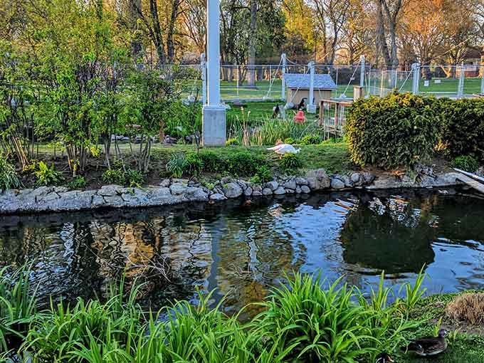 Pioneer Park's serene pond offers the kind of peaceful reflection spot that's becoming increasingly rare in our hurried world.