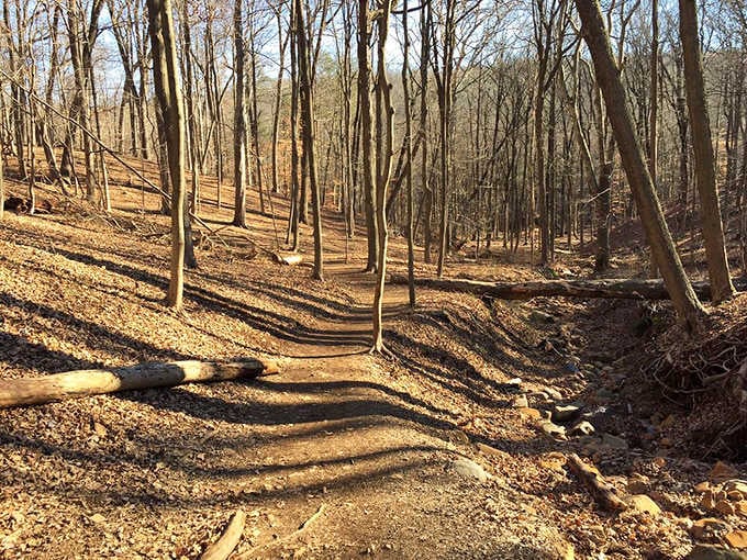 These trails wind through terrain that challenges your legs while rewarding your soul with every step forward.