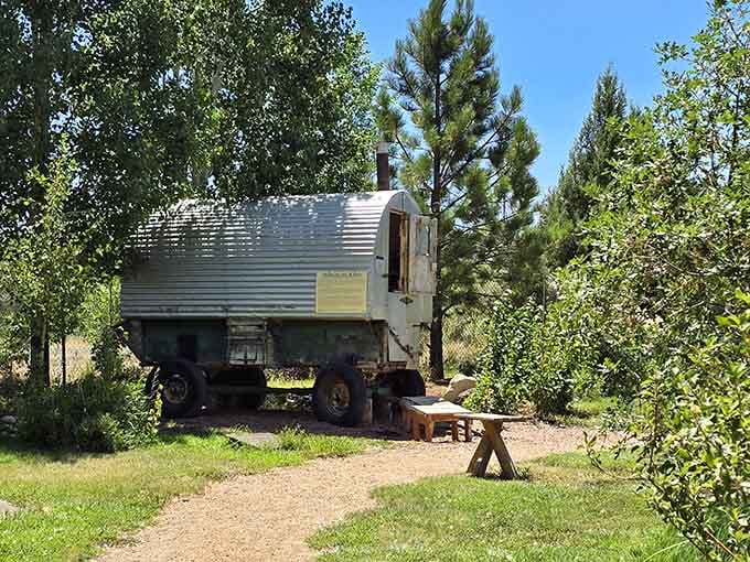 That vintage trailer nestled in greenery proves even garden sheds can have character and serious wanderlust vibes.