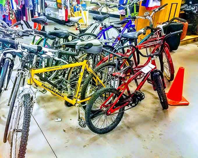 Bicycles lined up like a rainbow promise outdoor adventures at prices that won't require a second mortgage payment.