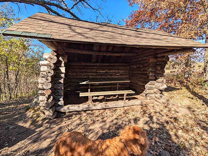 This rustic log shelter provides the perfect spot to rest your weary hiking legs and contemplate nature's wonders.