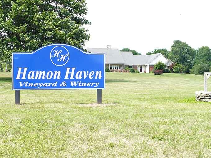 Hamon Haven Winery proves Kentucky does more than bourbon, and those rolling hills make excellent grape-growing real estate.