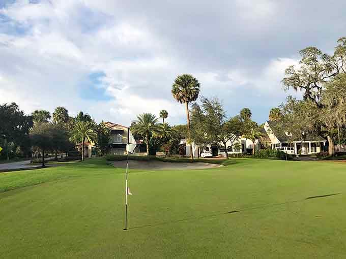 Manicured greens surrounded by Spanish moss and palms create golf courses that feel like vacation even mid-swing.