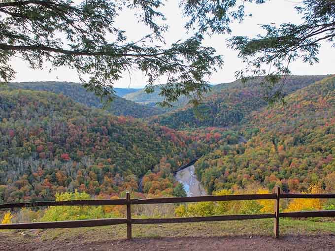 This overlook offers canyon views so perfect, you'll take seventeen photos trying to capture what your eyes see.