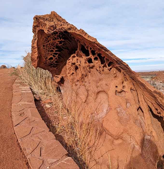 Sandstone formations weathered into patterns that look almost intentionally artistic and beautiful.