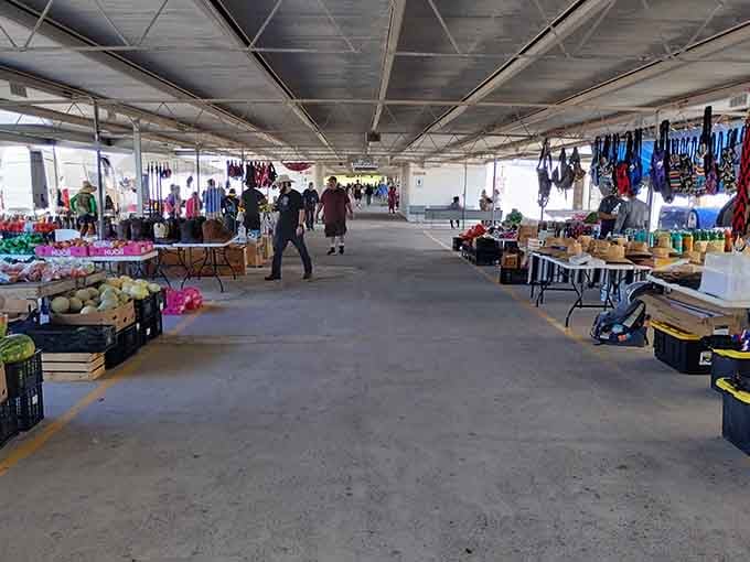 Wide concrete pathways guide shoppers past vendor tables where fresh produce and practical goods prove flea markets aren't just about dusty antiques.